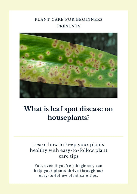 Shop For Your What Is Leaf Spot Disease On Houseplants